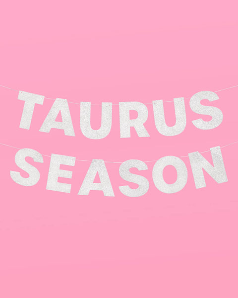 Taurus Season Banner - silver glitter banner – xo, Fetti