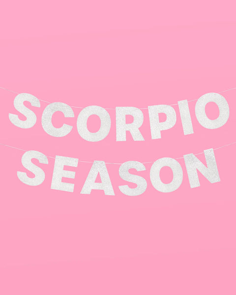 Scorpio Season Banner - silver glitter banner – xo, Fetti